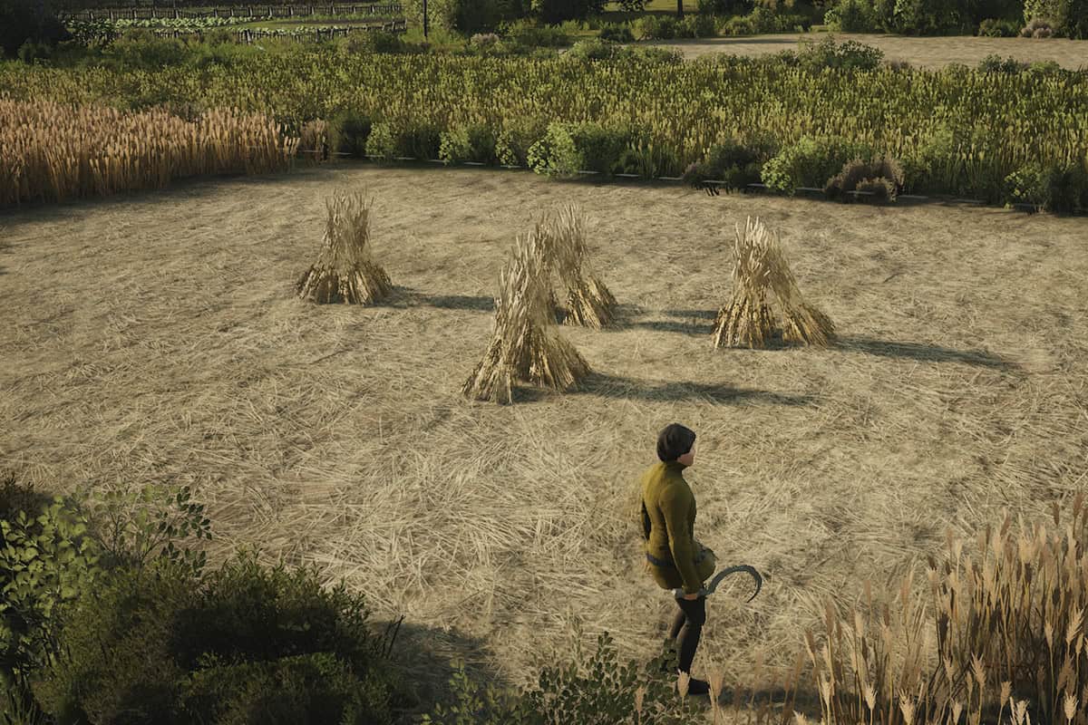 Manor Lords Crafting Guide: How To Farm